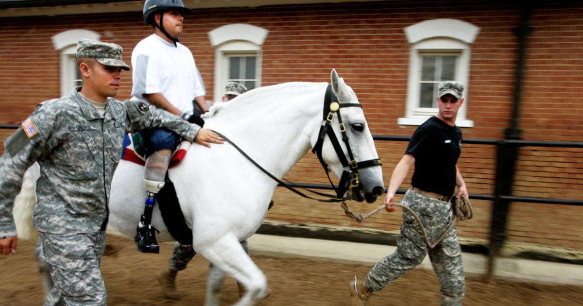 Horses may help wounded soldiers walk again