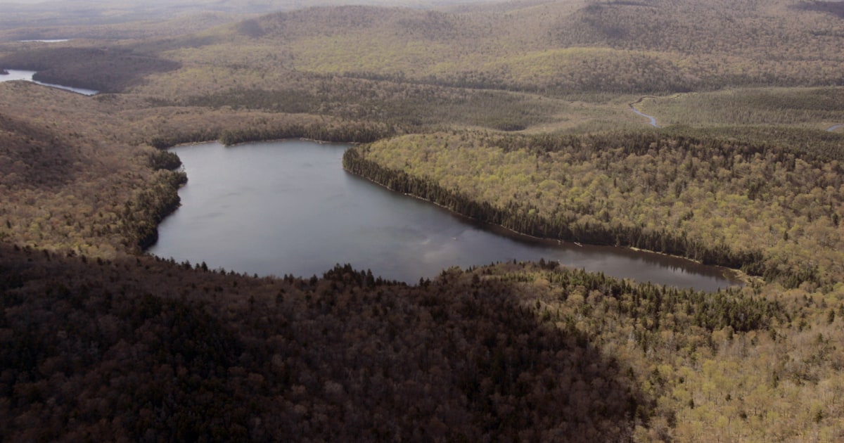 Dead lake comes back to life, at least for now