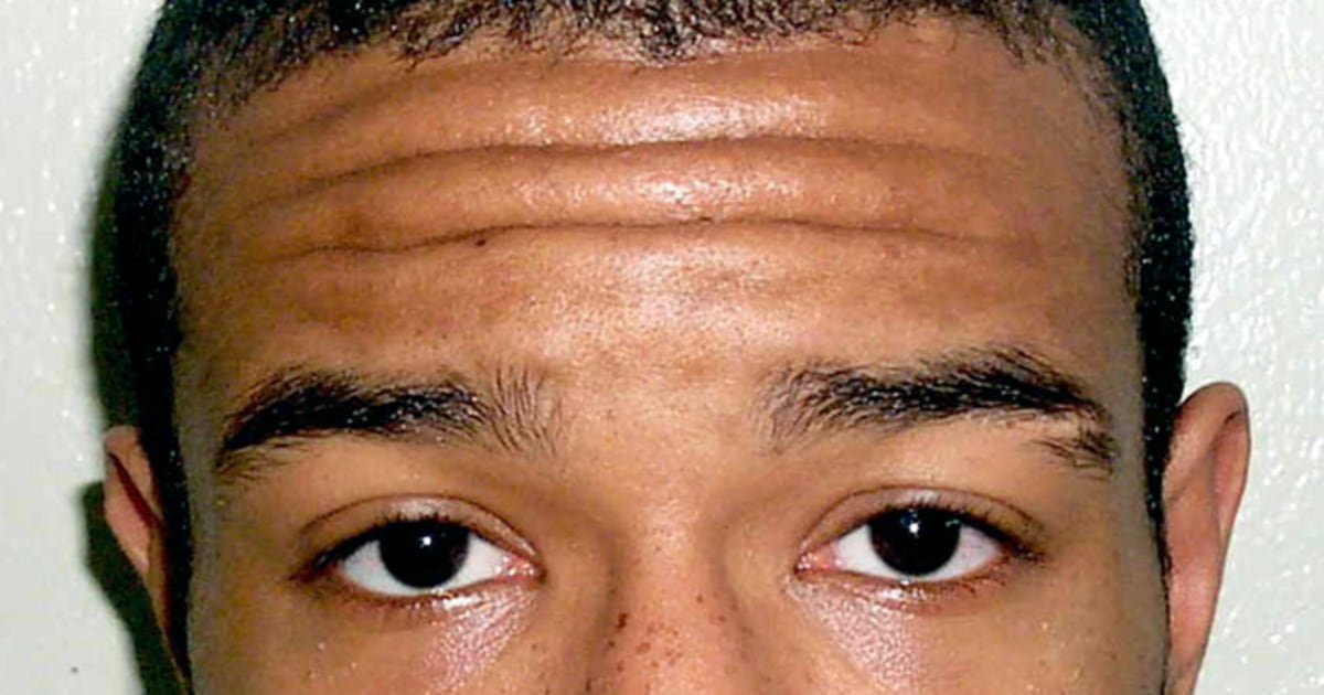 Virginia halts death of inmate claiming insanity