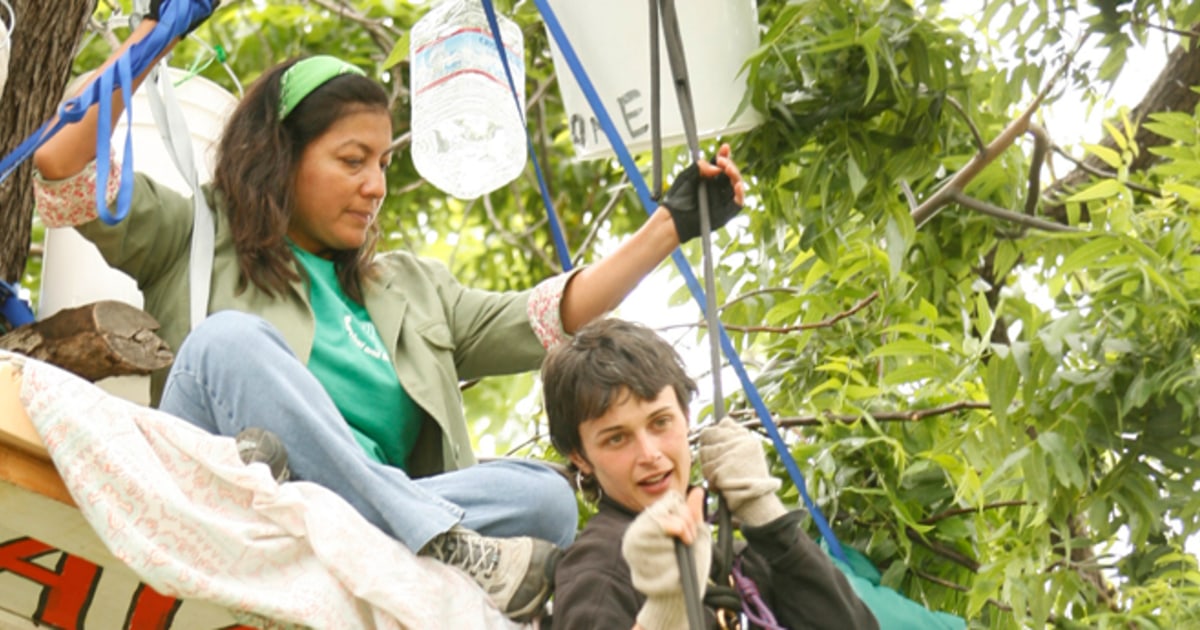 Tree-sitter lands in urban garden after 19 days