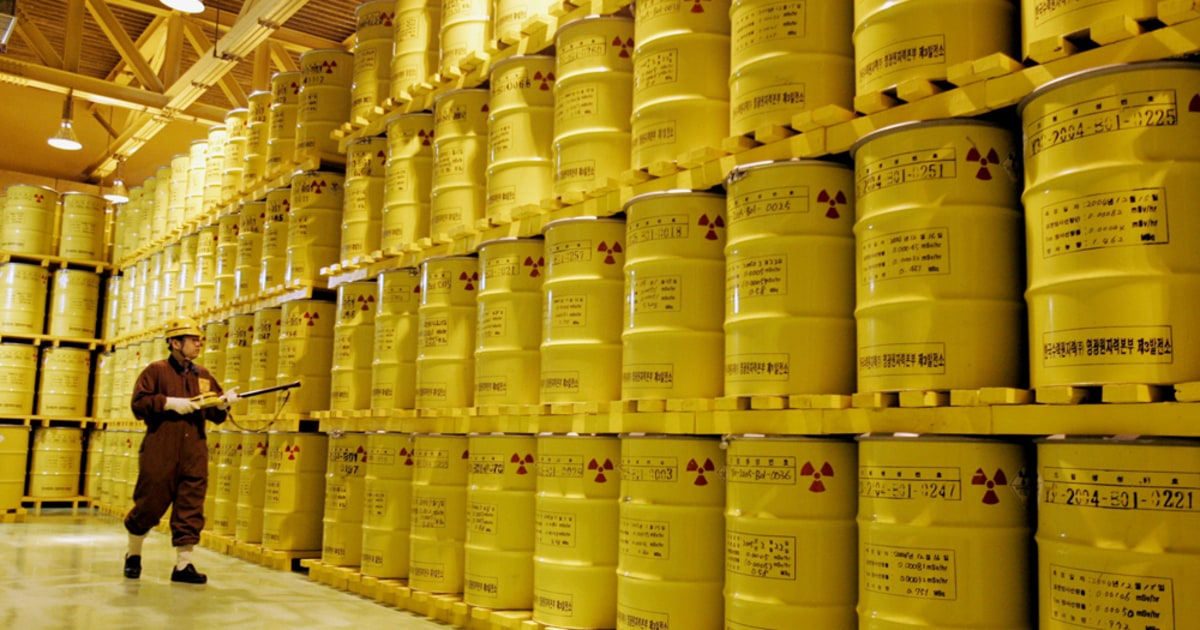 Asia has appetite for nuclear energy