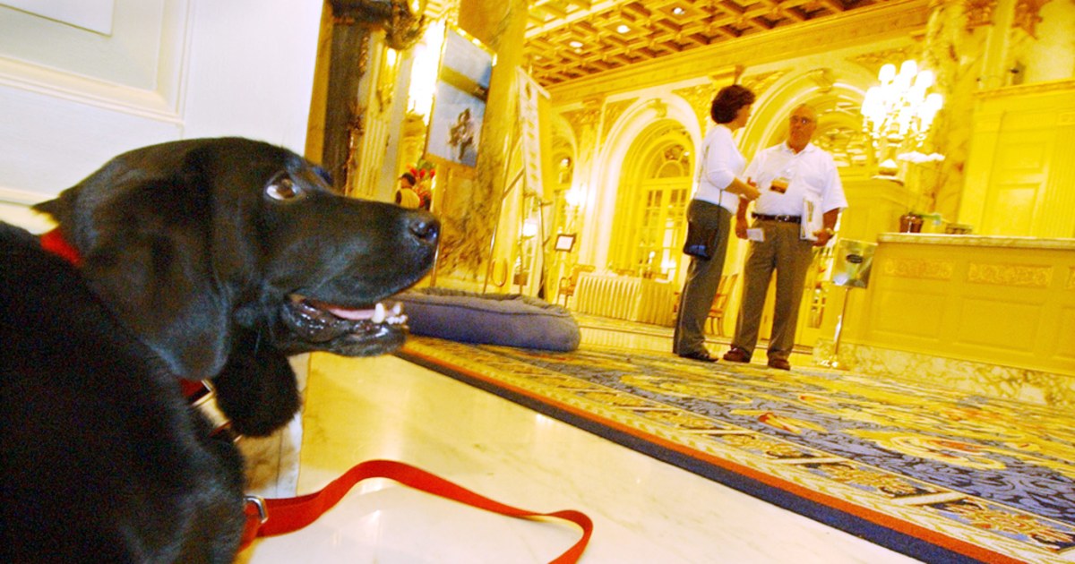 Visit Boston's most famous dog