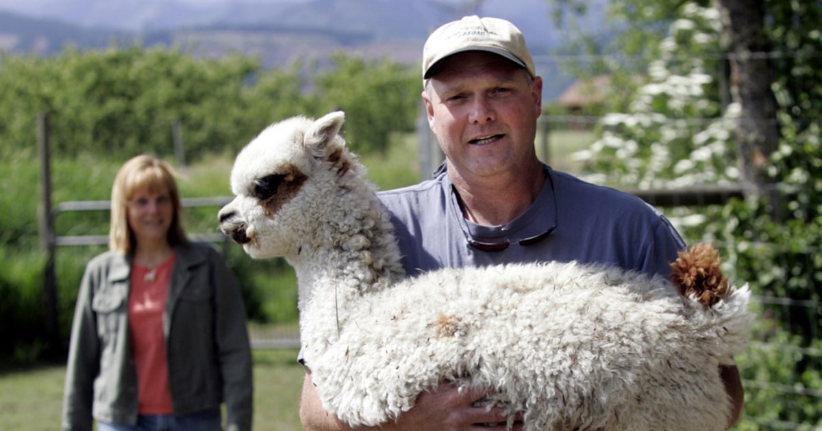 Alpacas help many ease into bucolic lifestyle