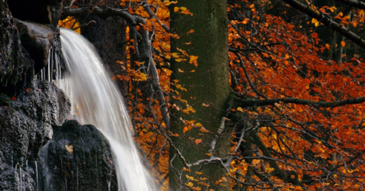 Top 10 fall foliage destinations