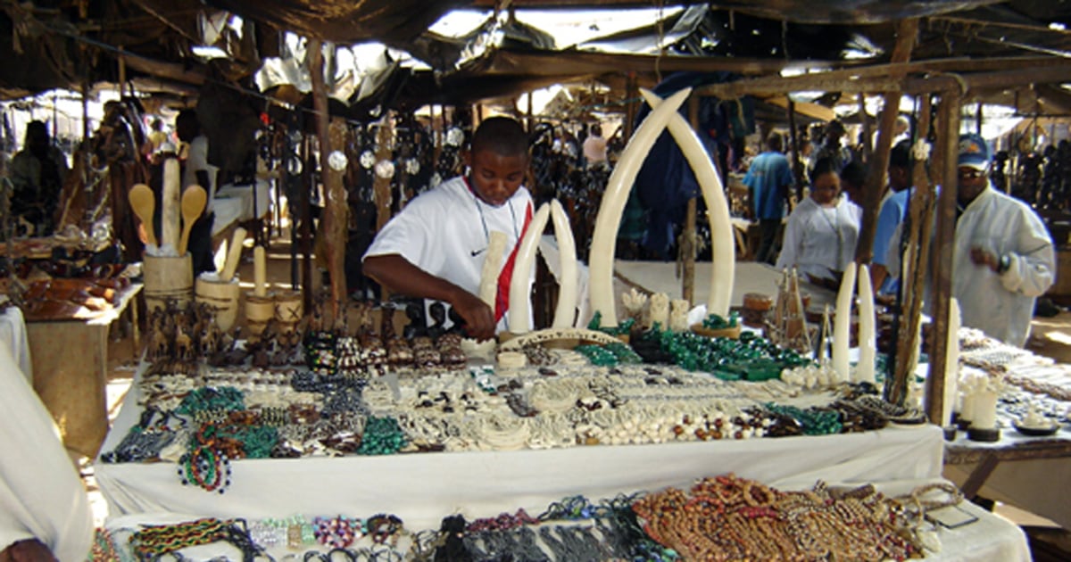 Angola becomes hub for illegal ivory trade