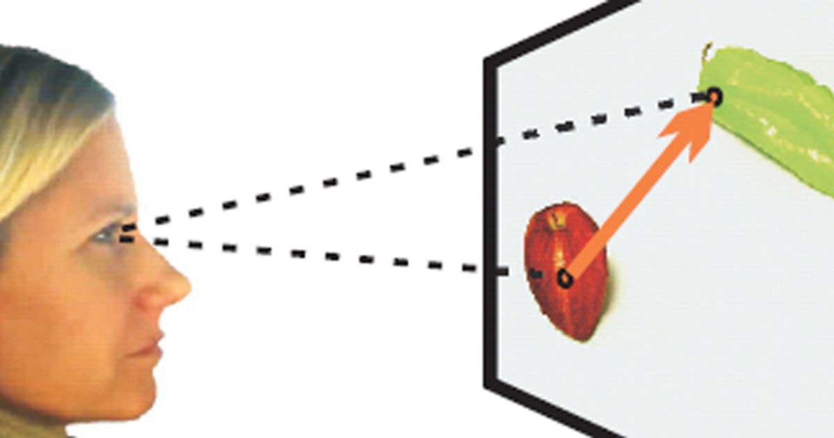 New study reveals the brain's ‘steady cam’