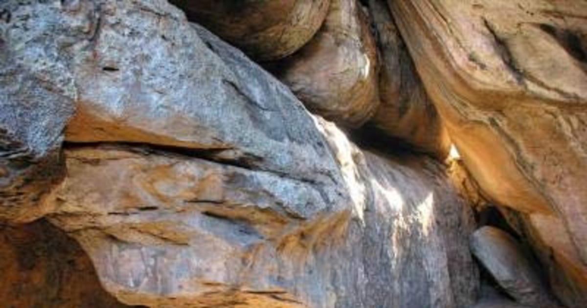 Scientists find first known human ritual