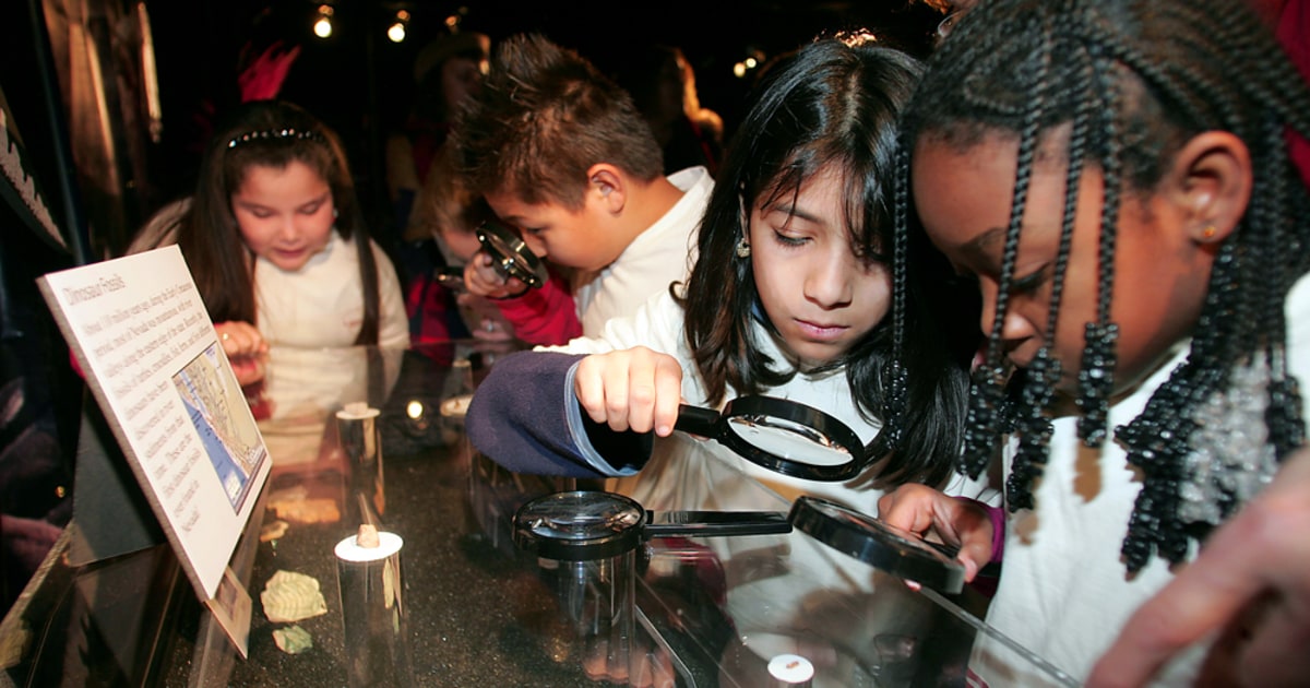 Nevada dinosaur fossils unveiled