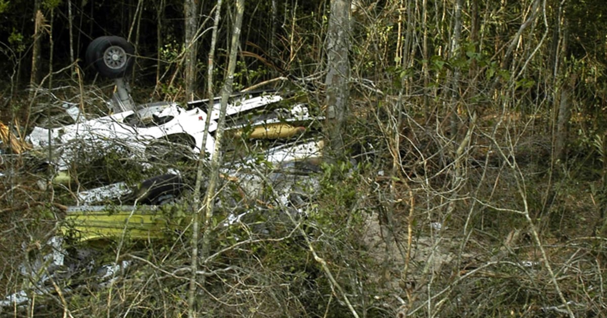 2 American pilots charged in Amazon crash