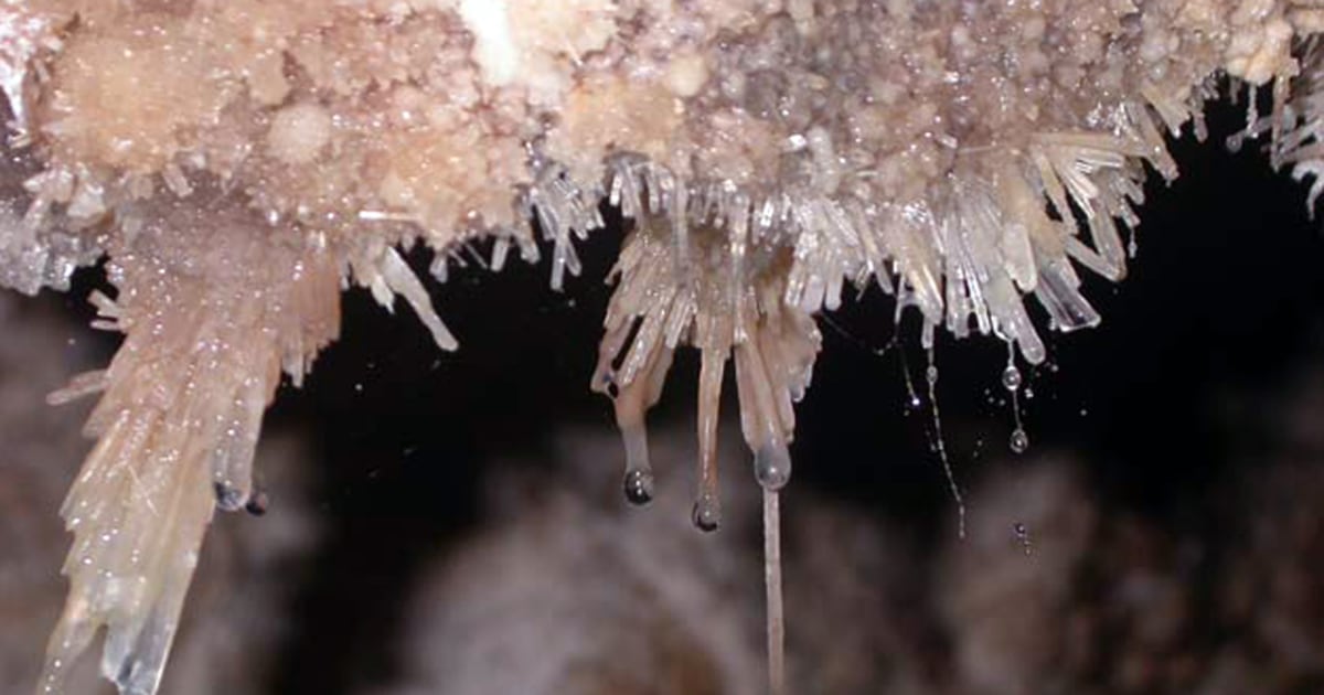 Cave snot carves out its home