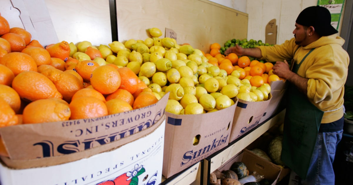 Citrus freeze a disaster for workers