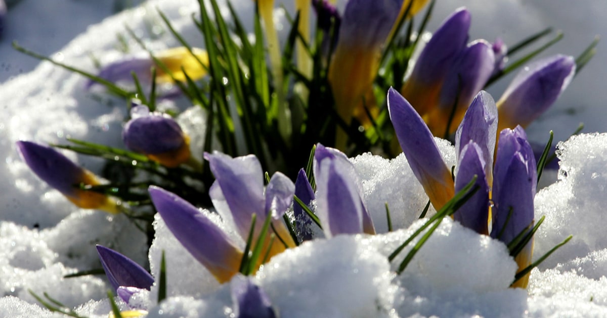 January was warmest on record worldwide