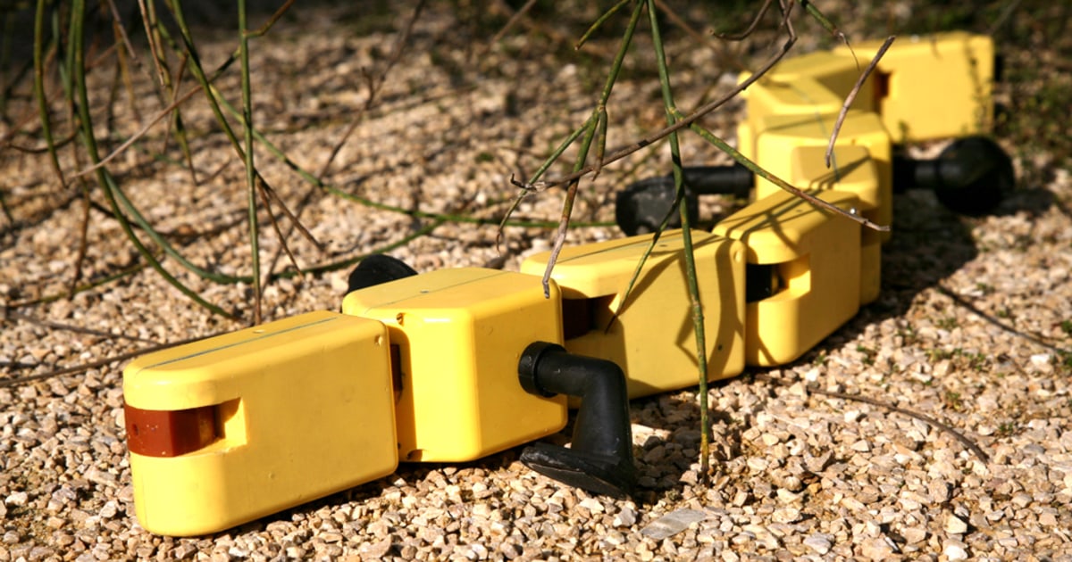 Robot shows evolution from sea to land