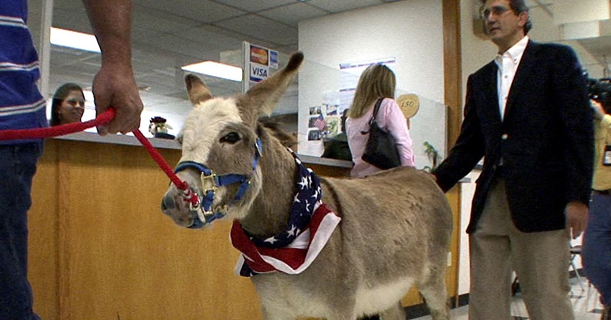 Man brings donkey to testify on its own behalf
