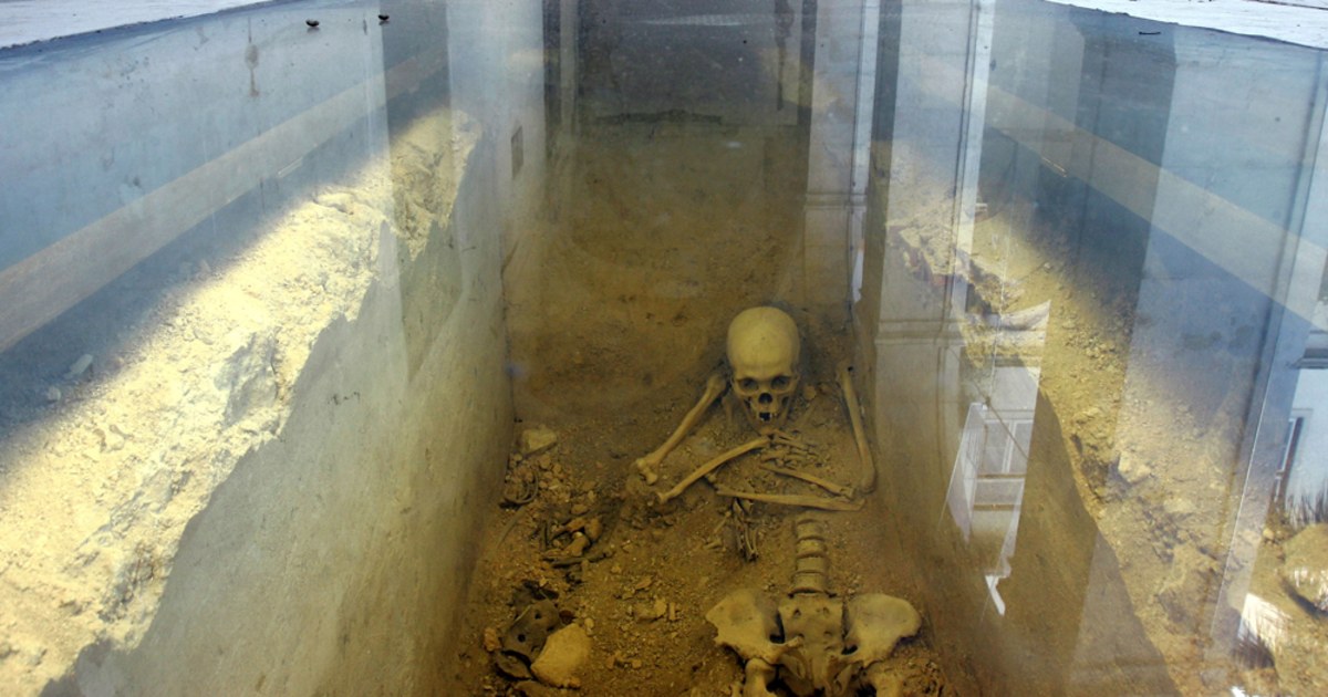 Bones shed light on 1755 Lisbon quake