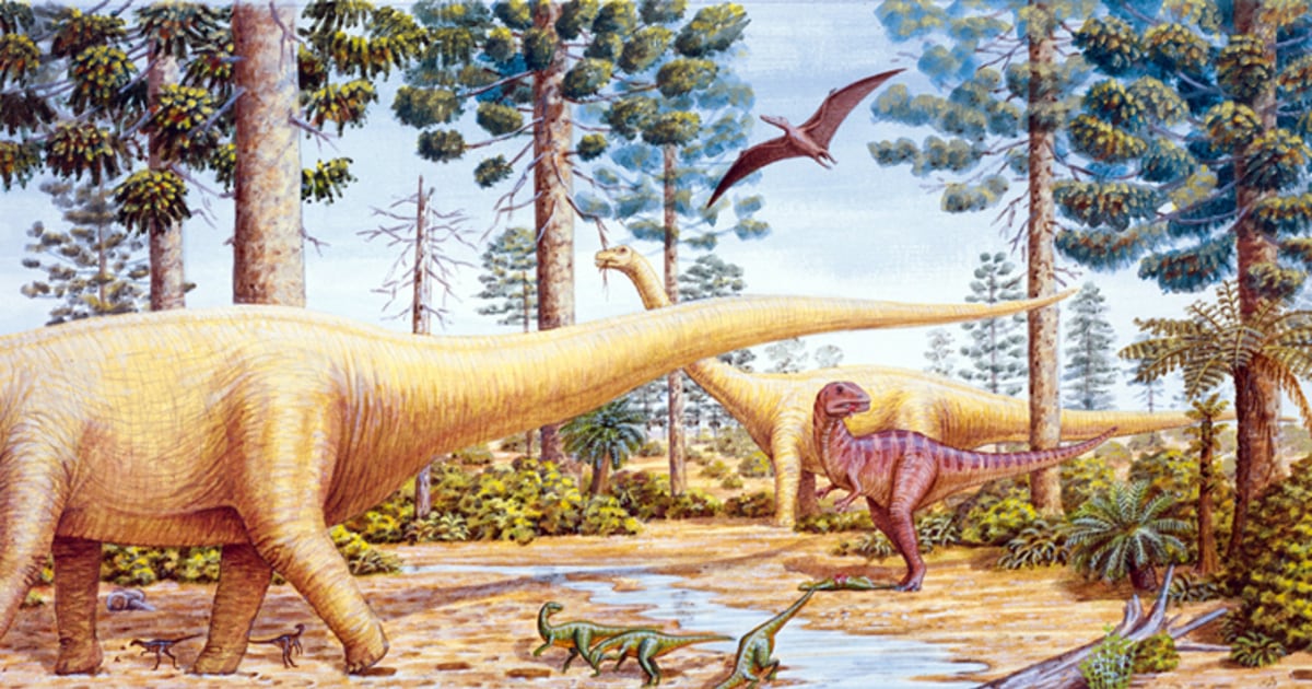 Bones of Australia's largest dinosaurs unveiled