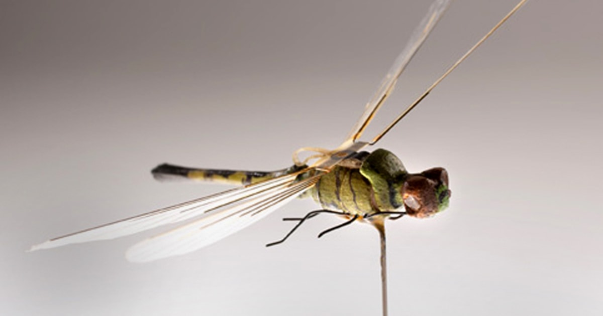 Cloaking device? Spy-tech unit is working on it