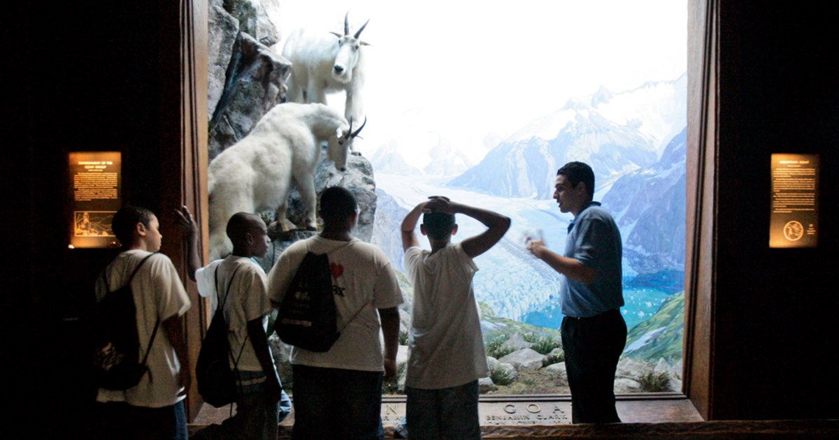 Museum guide program the docent thing to do
