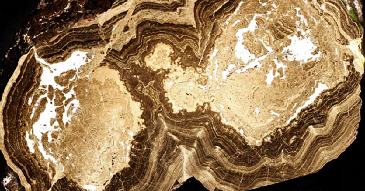 Deep-sea discovery reinforces origin of life