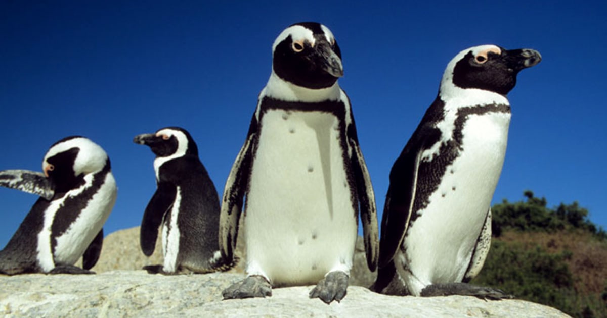 Adult friendly Family Vacations adult-friendly-family-vacations