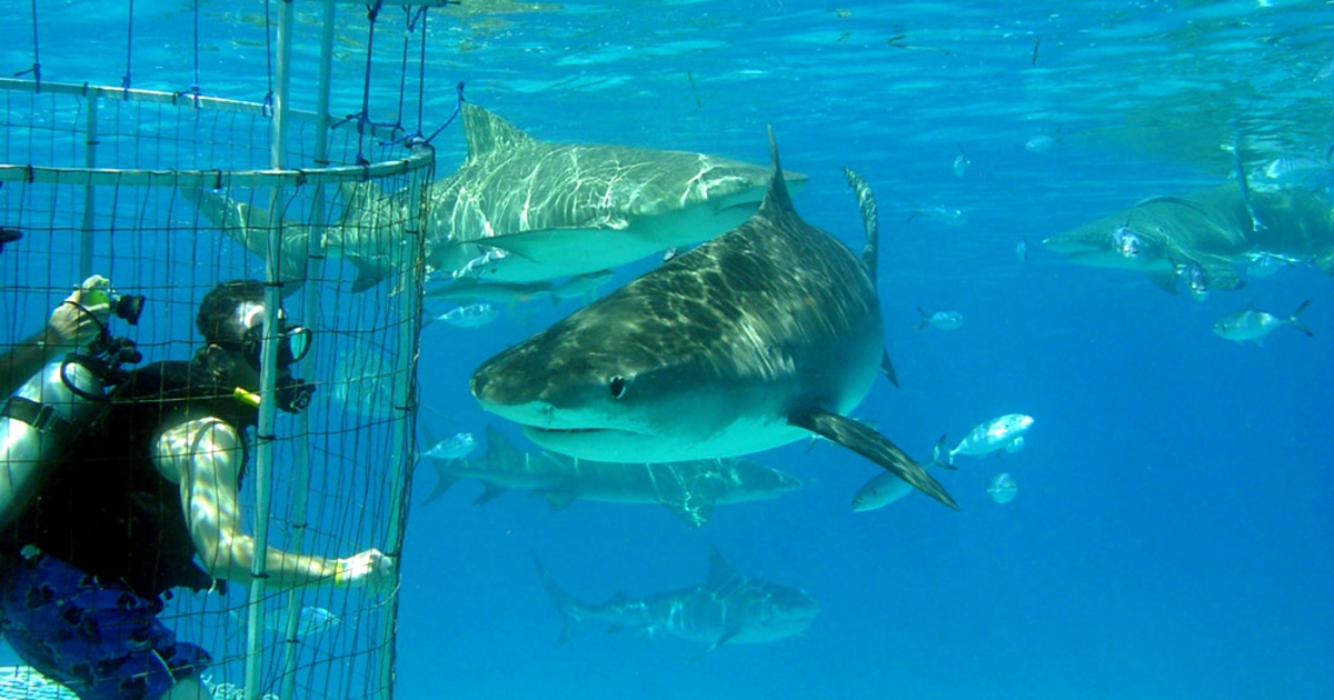 Adrenaline junky? Best trips for thrill-seekers