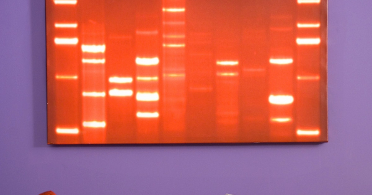 DNA moves from crime world to art world