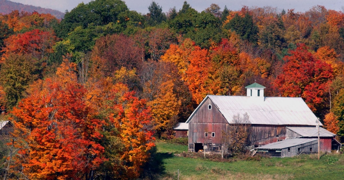 Fall is here, and not a moment too soon