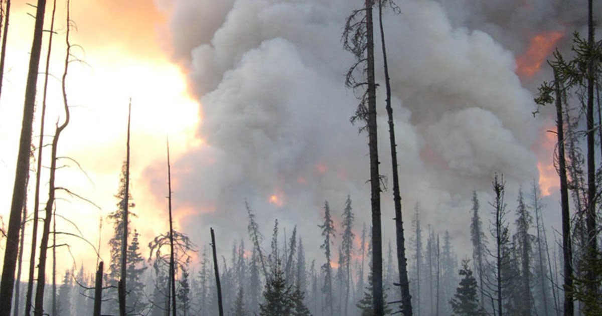 Warm weather fuels early fires in Alaska