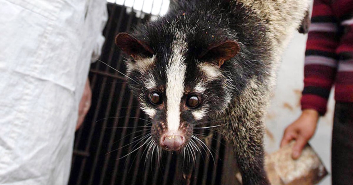 Civets, other wildlife off the Chinese menu