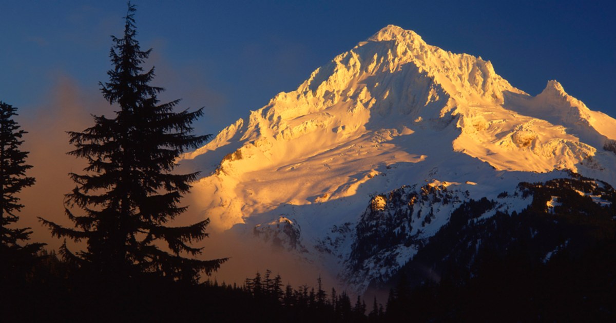 The ultimate green vacation