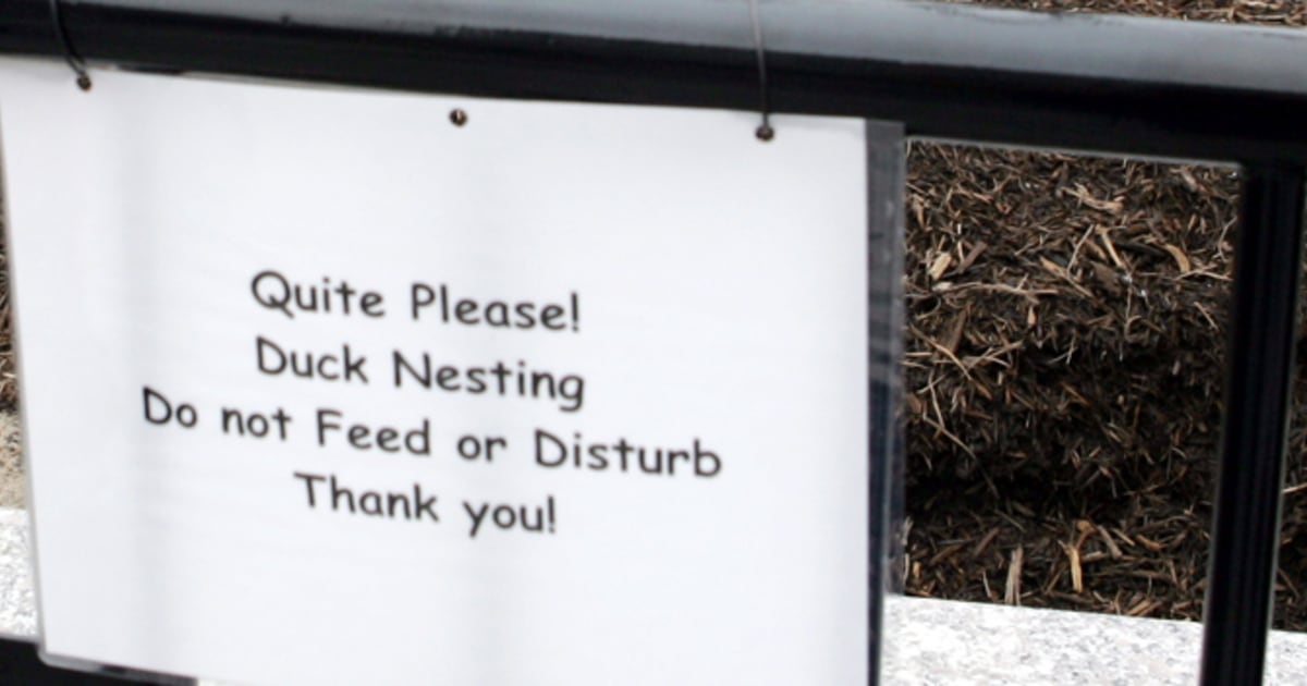 Secret Service won’t duck new security task