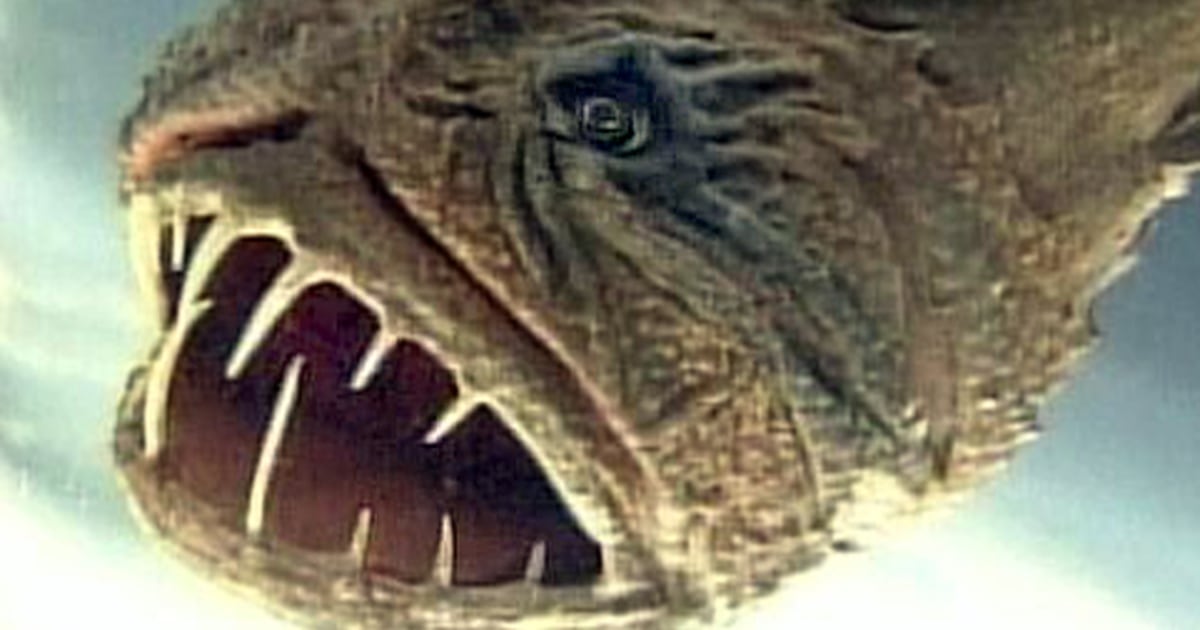 Look for life as we don't know it, experts urge