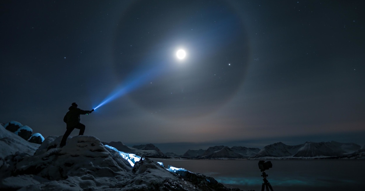 Stellar images: The year in space