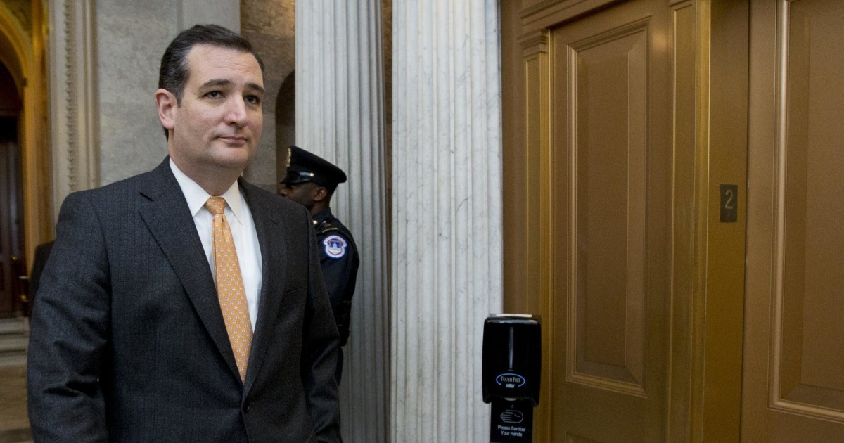 Cruz Calls for NSA Reform to Focus on Successful Attacks