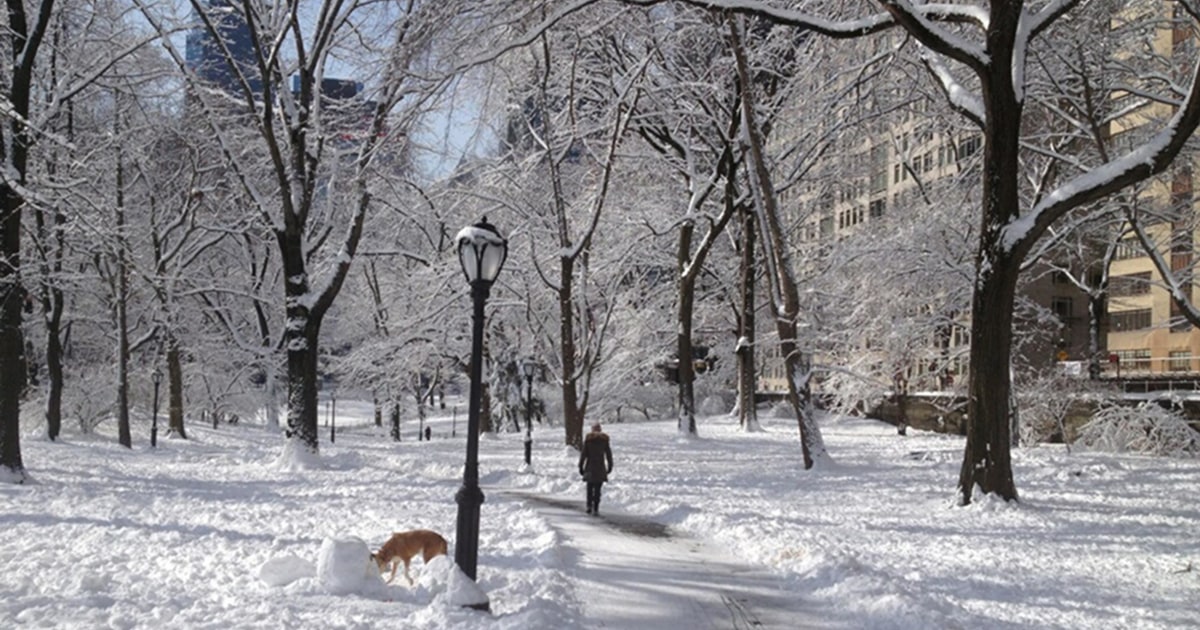 Snow Transforms Central Park