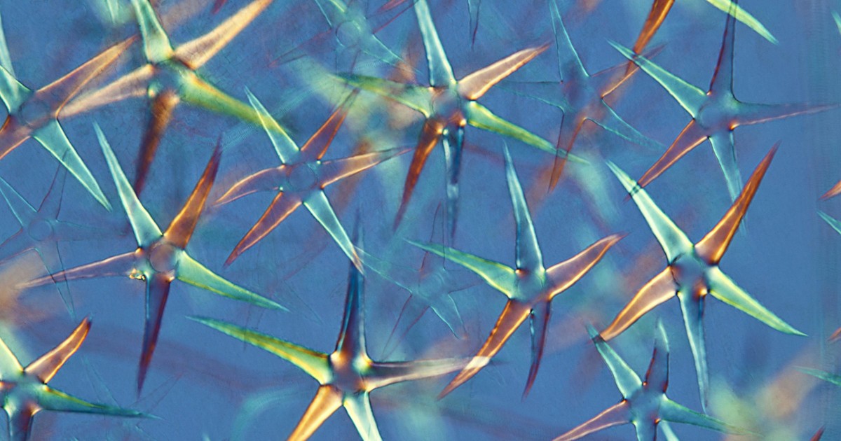 Visualization Contest Celebrates Science's Stars of the Show