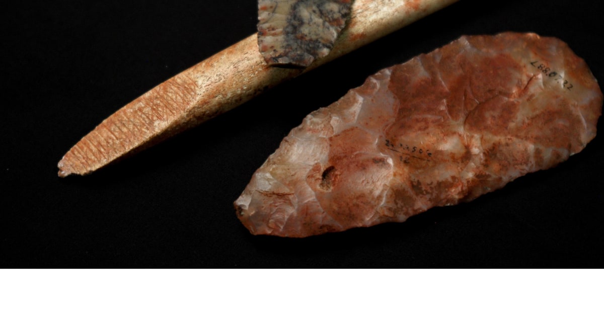 Ice Age Infant's Genome Fills in Native American Ancestry