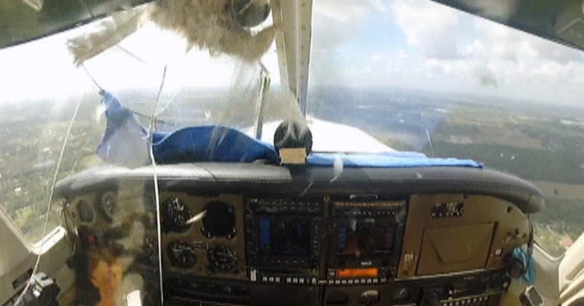 Ouch! Bird Crashes Through Plane Windshield