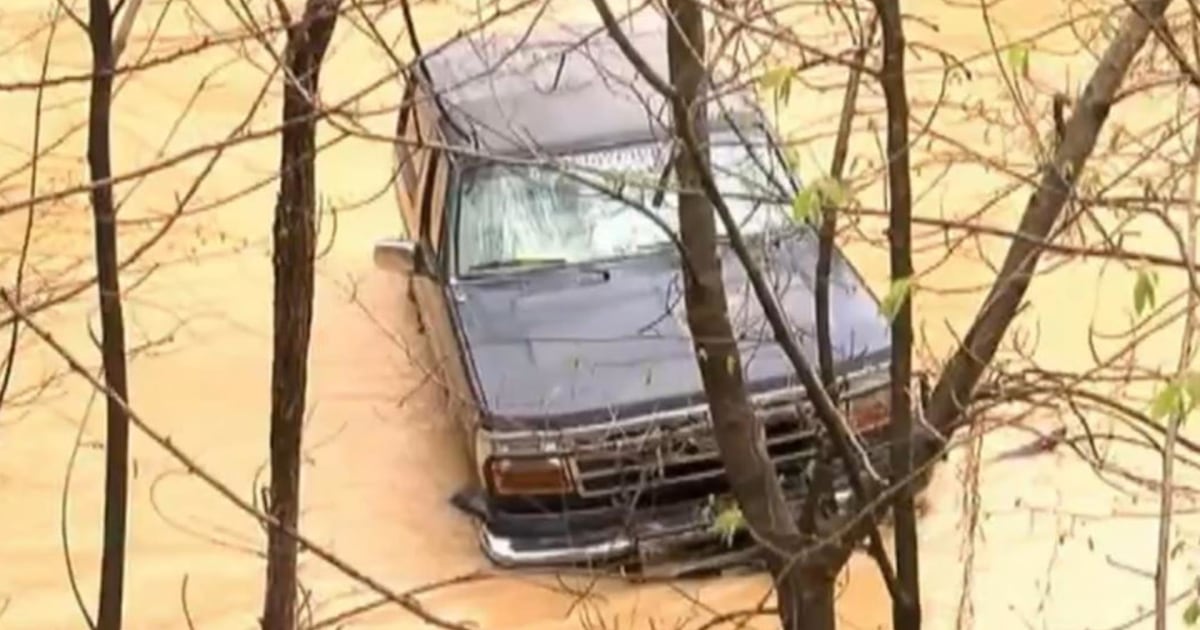 Rescuers Save Campers and Pet Lemur From Flood