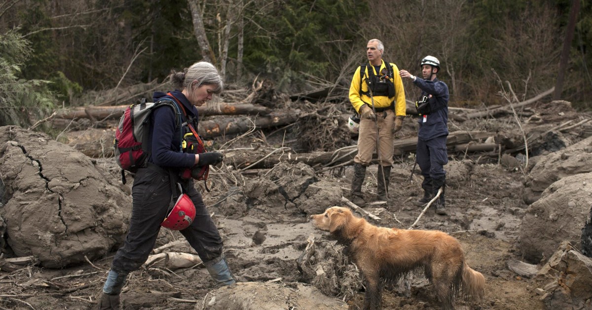 Two More Bodies Recovered From Mudslide Scene