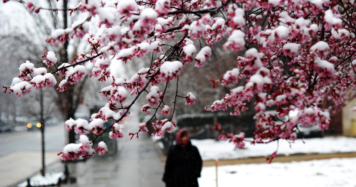 'Strongest Storm of Season' Aims at Cape Cod