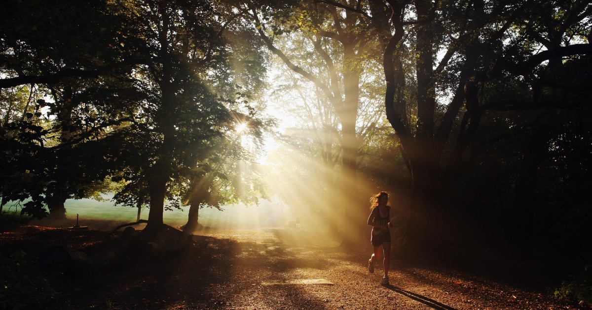 Morning Light Could Be Key to Leaner Physique, Study Finds
