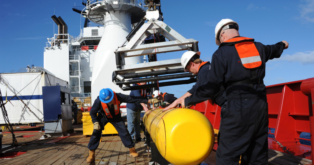 Whale of a Problem: Hunt for Black Box Hampered By Sea Life