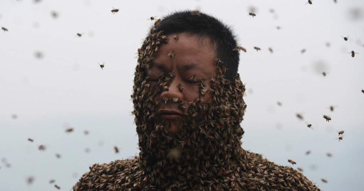 Beekeeper Poses for Bizarre Fashion Feat