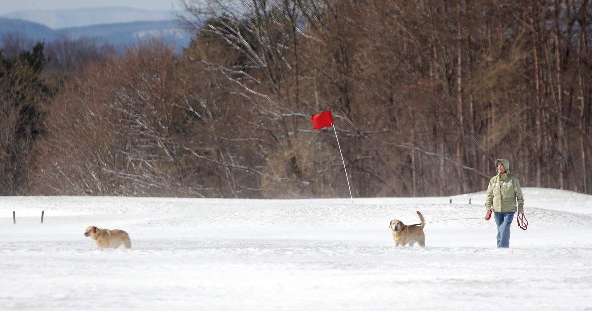 Spring Snow Chills Spirits and Buries Flowers