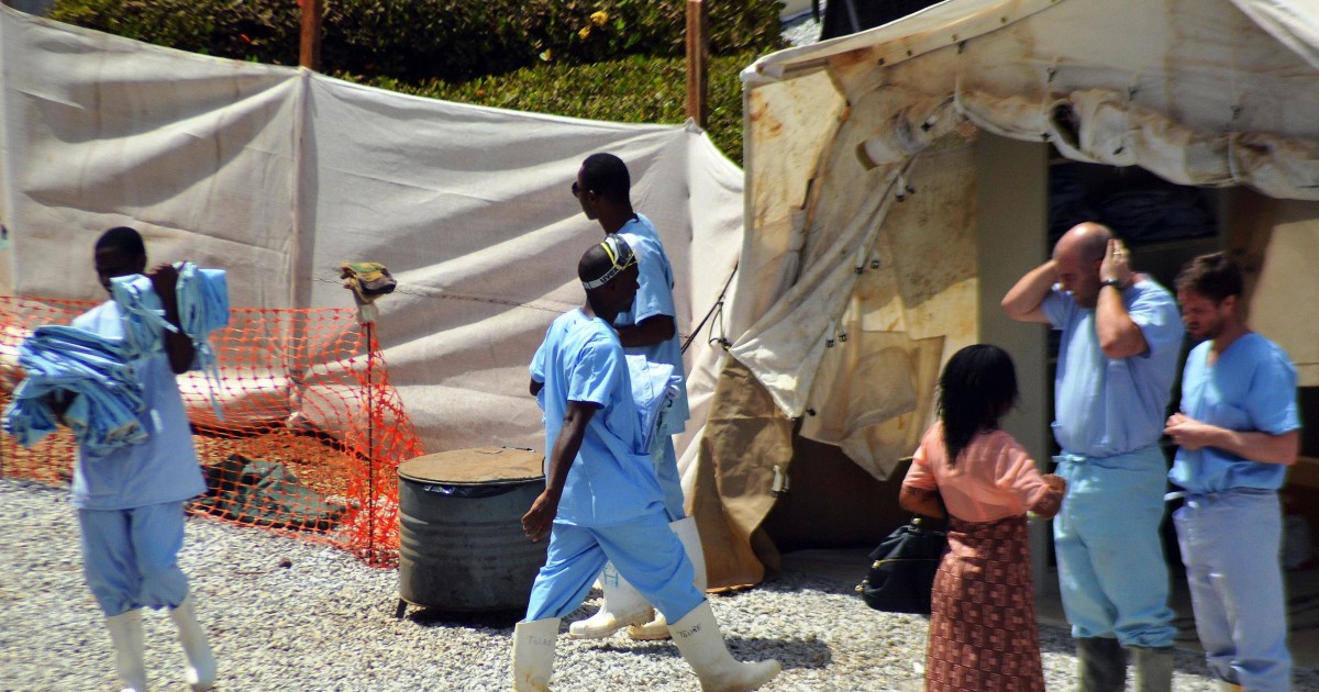 Ebola Virus in West Africa Is New Strain, Scientists Say