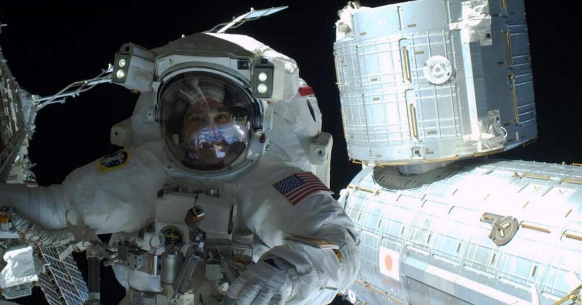 Spacewalk Selfie! NASA Astronaut Shares Self-Portrait