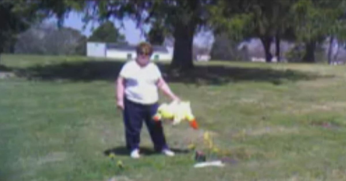 Thief Steals Stuffed Duck From Boy's Grave