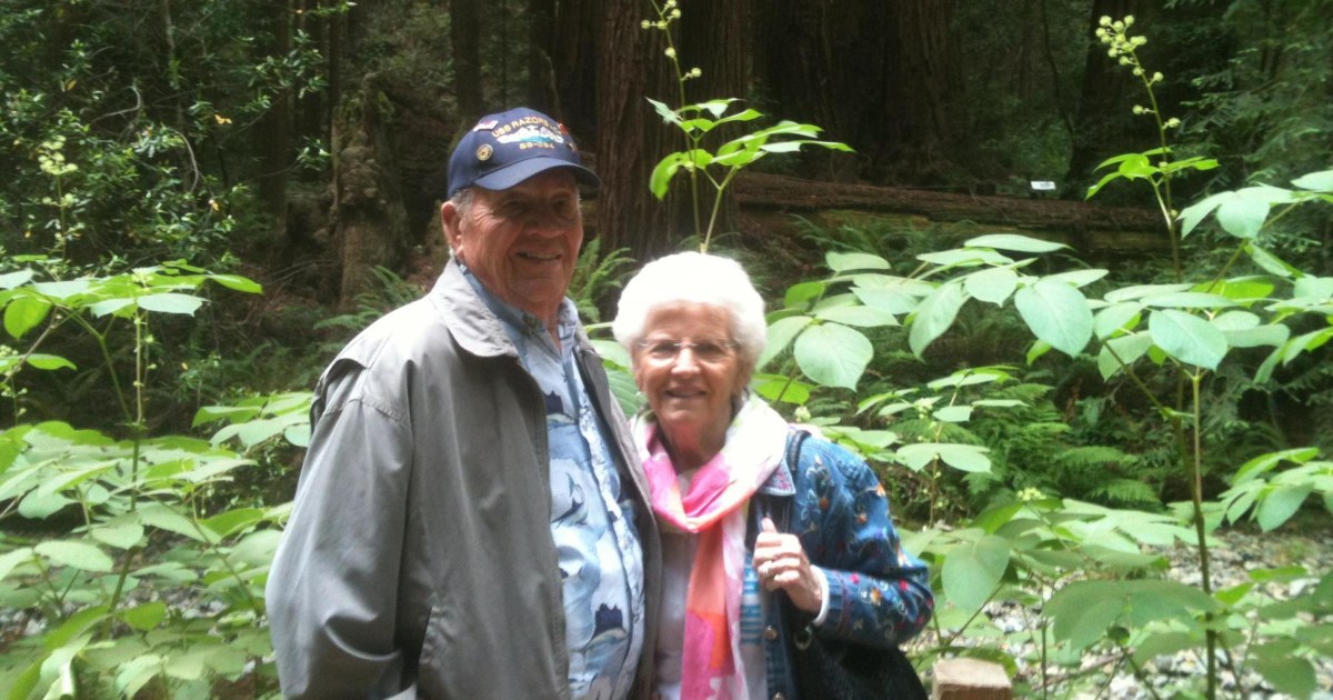 Tornado Survivor in Mayflower, Ark., Describes Terror