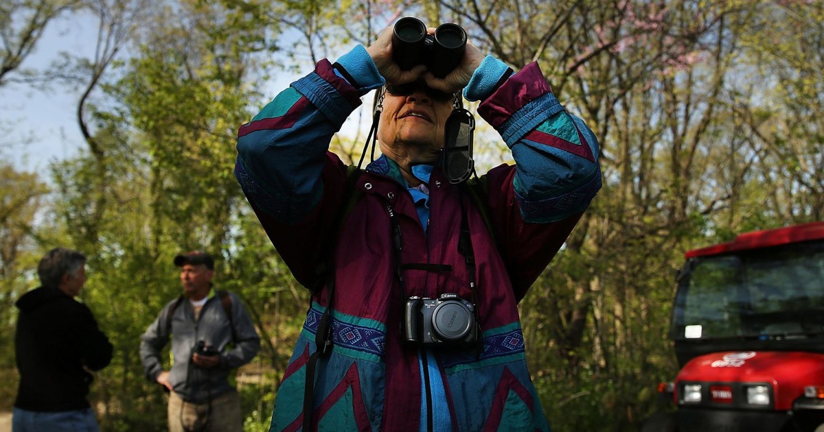 Brooklyn Bird Watchers Catch a Glimpse of Spring Migration